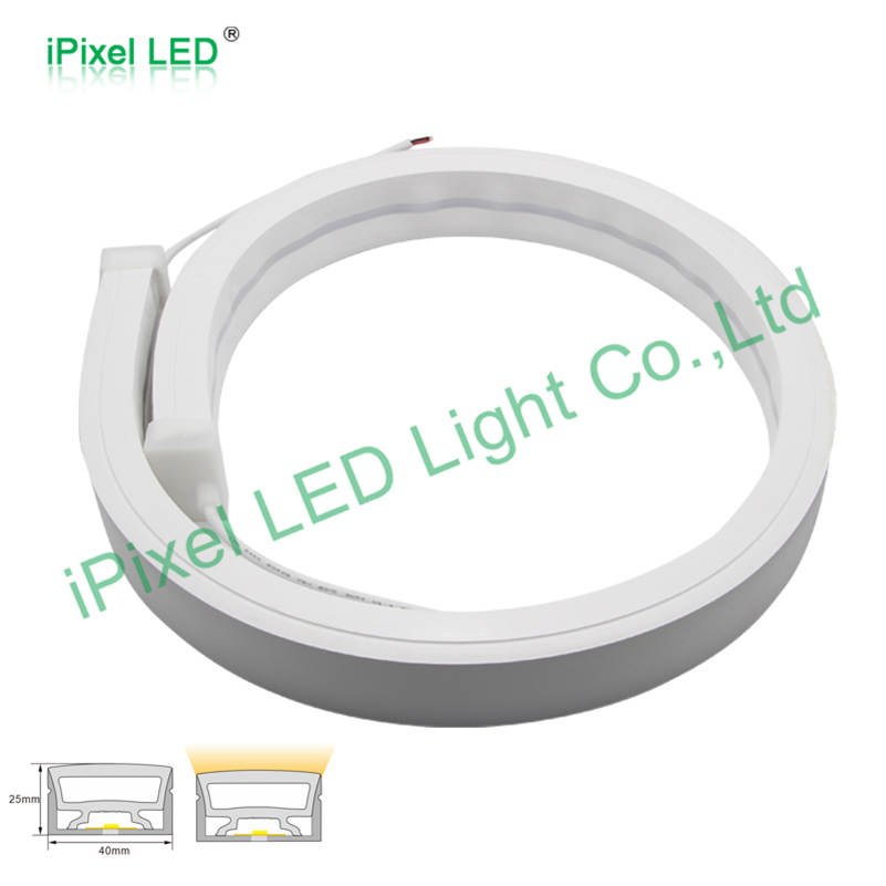 40X25mm 240leds/m single color neon strip - Custom LED Neon - Custom ...