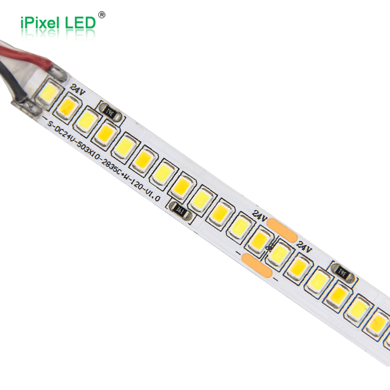 Dual color 10mm 2835 LED Tape Light 240LEDs/M DC24V - Dual Color - LED ...